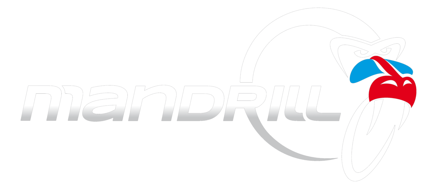 Mandrill-Automotive – The Art of electrification